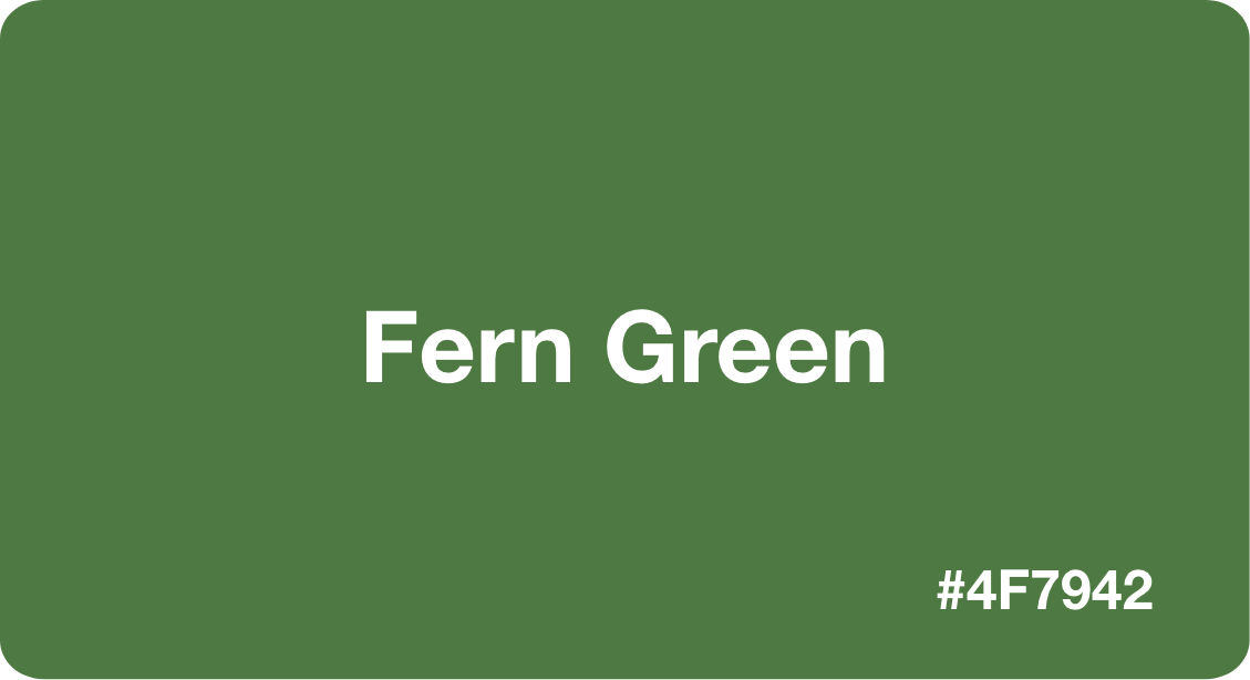 fern-green-color-best-practices-color-codes-palettes-more